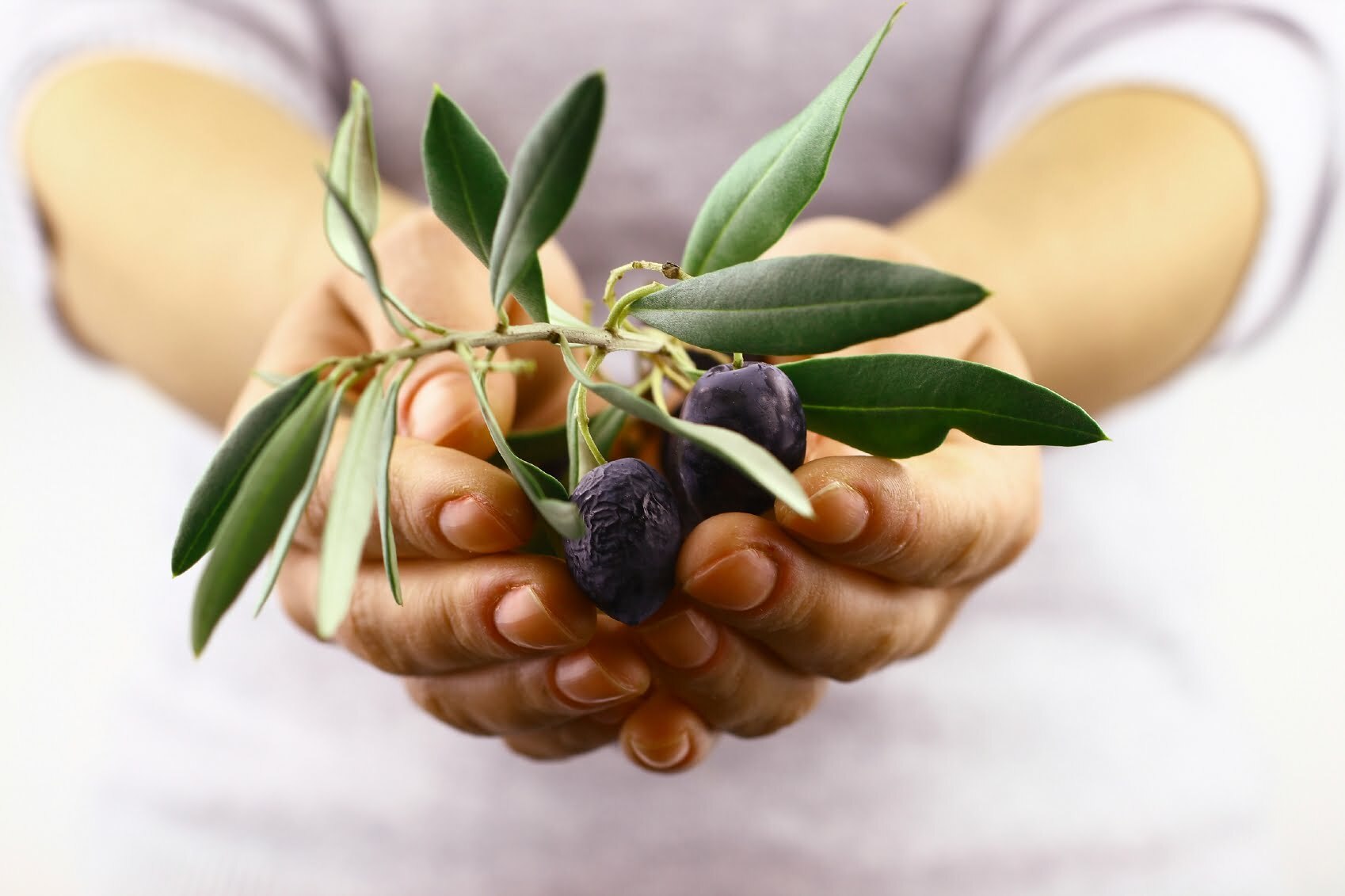What's The Difference? Olive products explained